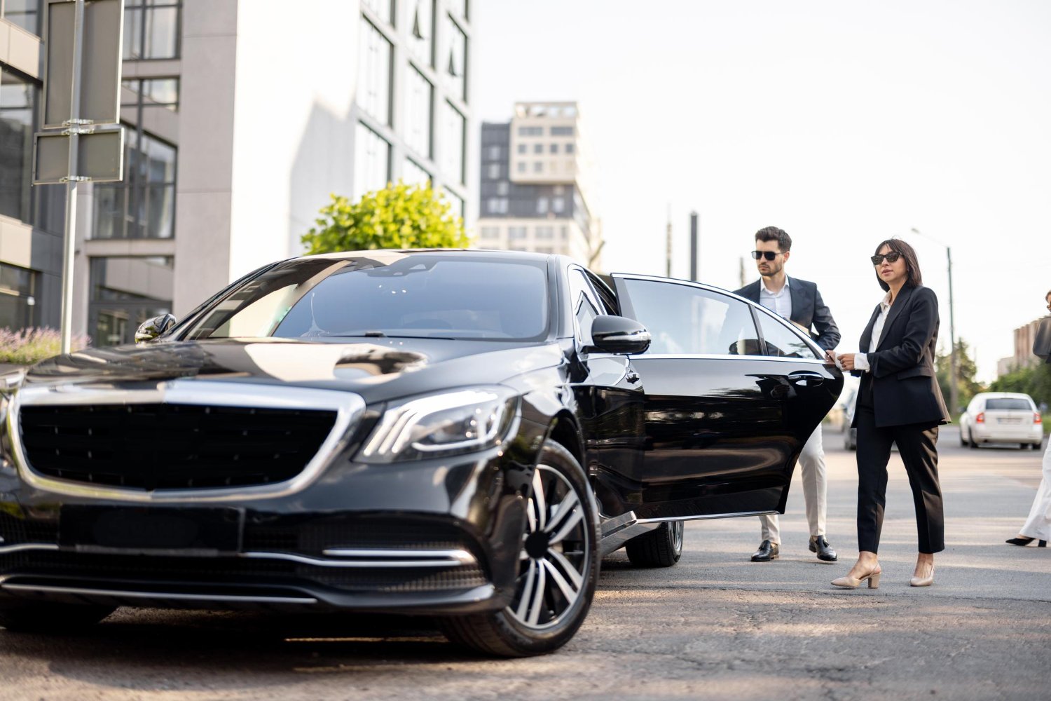 Royal Vision Limousine